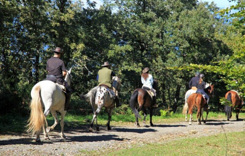 Horse Riding Through The Valleys + lunch - Key Points