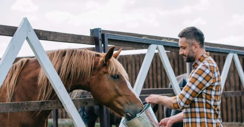Horse Riding Through The Valleys + lunch - An In-Depth Look at This Horseback Adventure in Umbria