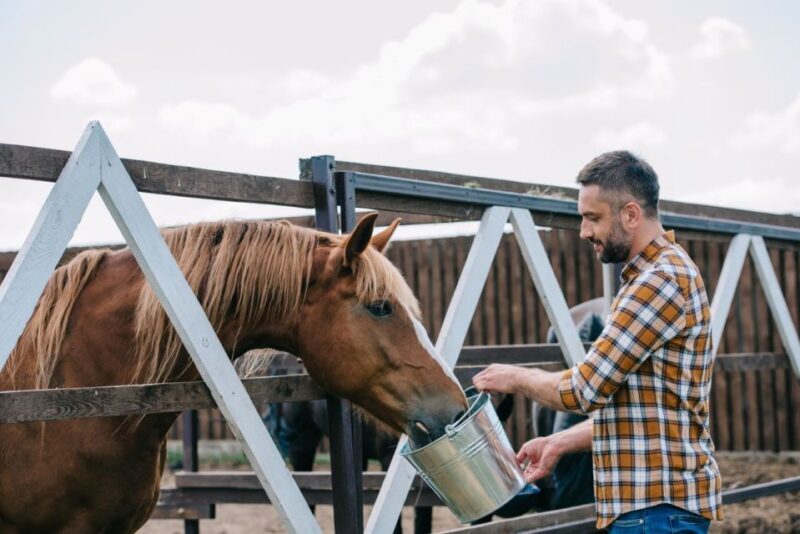 Horse Riding Through The Valleys + lunch - The Sum Up: Is It Worth It?