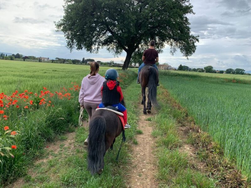 Horse Riding Through The Valleys + lunch - FAQs