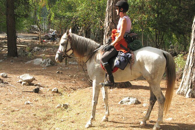 Horse Riding Tour in Bodrum with Hotel Pick Up - What’s Included and What’s Not
