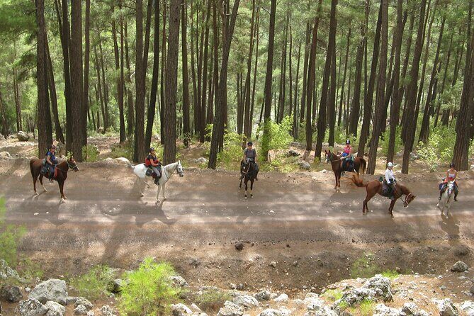 Horse Riding Tour in Bodrum with Hotel Pick Up - Authentic Experiences Shared by Travelers
