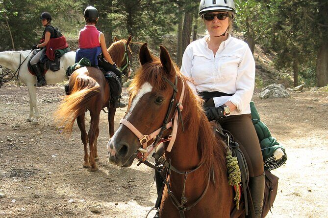 Horse Riding Tour in Bodrum with Hotel Pick Up - Practical Details and Tips