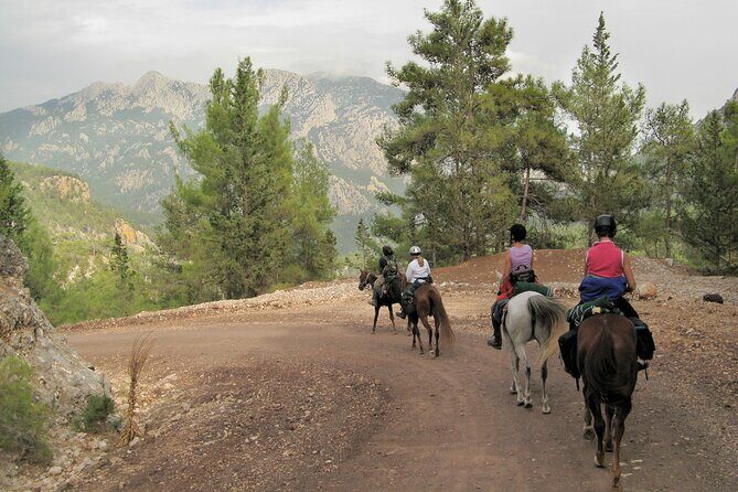 Horse Riding Tour in Bodrum with Hotel Pick Up - Who This Tour Is Best For