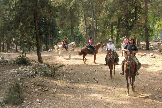 Horse Riding Tour in Bodrum with Hotel Pick Up - Final Thoughts