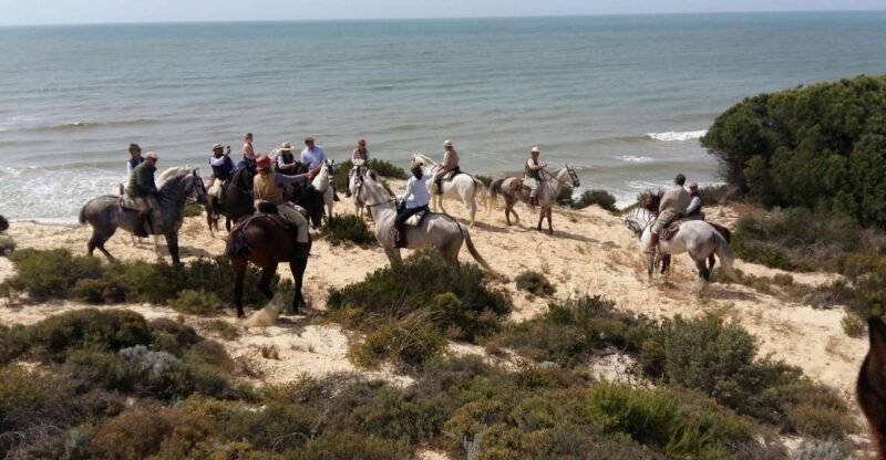 Horse-Riding Tour in Doñana National Park - Key Points