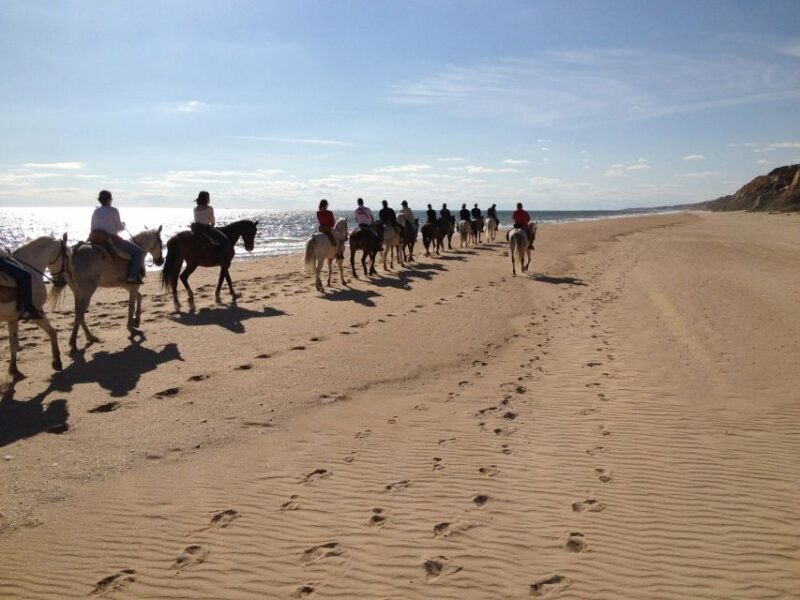 Horse-Riding Tour in Doñana National Park - Exploring Doñana on Horseback
