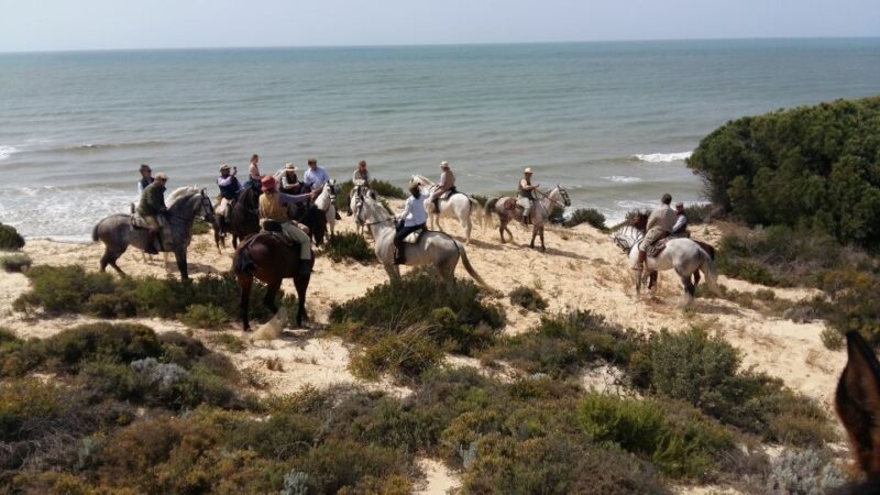 Horse-Riding Tour in Doñana National Park - The Sum Up