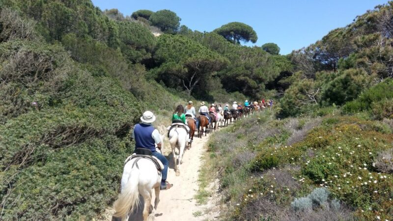 Horse-Riding Tour in Doñana National Park - FAQs