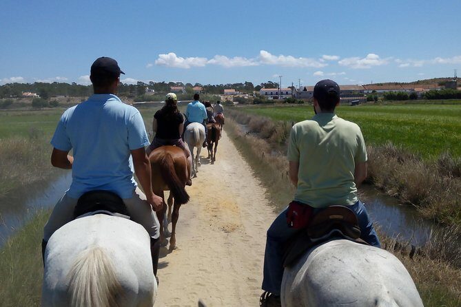 Horse Riding Tour on the Beach Lisbon region - Analyzing the Value