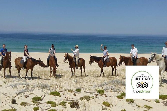 Horse Riding Tour on the Beach Lisbon region - Who Should Consider This Tour?