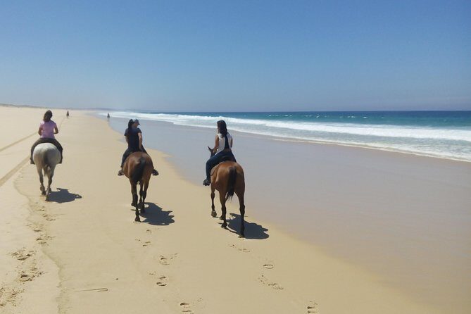 Horse Riding Tour on the Beach Lisbon region - Final Thoughts