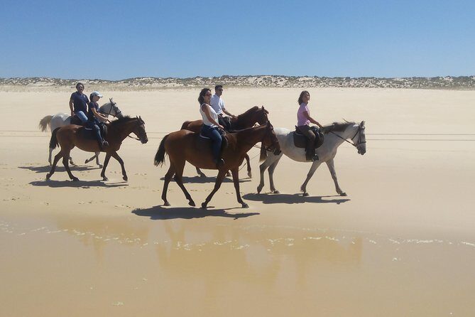 Horse Riding Tour on the Beach Lisbon region - FAQ