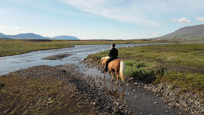 Horse Riding Tour to the Glacier River Delta with Waterfall - Introduction: An Authentic Icelandic Horseback Adventure