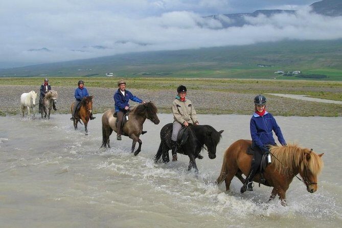 Horse Riding Tour to the Glacier River Delta with Waterfall - What to Expect from the Horse Riding Tour in Iceland