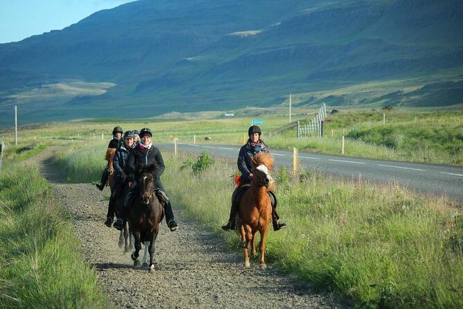 Horse Riding Tour to the Glacier River Delta with Waterfall - Who Will Enjoy This Tour?