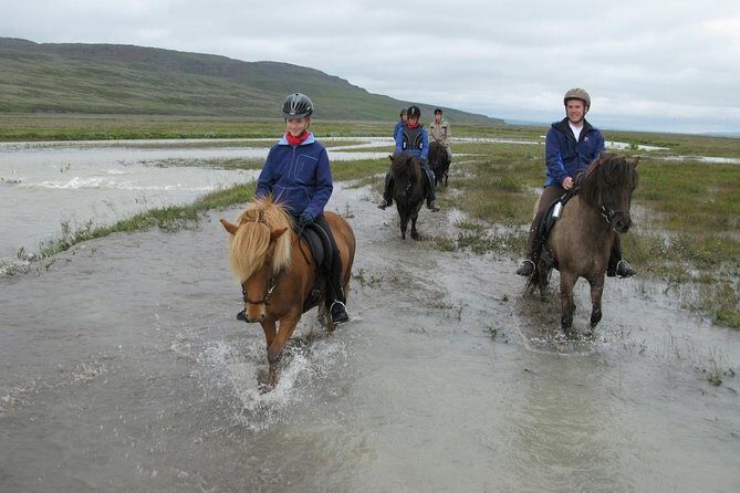 Horse Riding Tour to the Glacier River Delta with Waterfall - FAQ