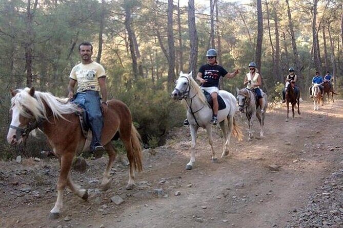 Horse Safari From Kemer - An Honest Look at the Horse Safari From Kemer