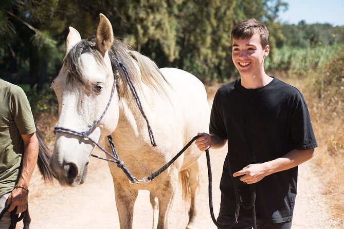 Horse Sanctuary: A nature walk with Rescued Horses by your side - Review Highlights from Participants