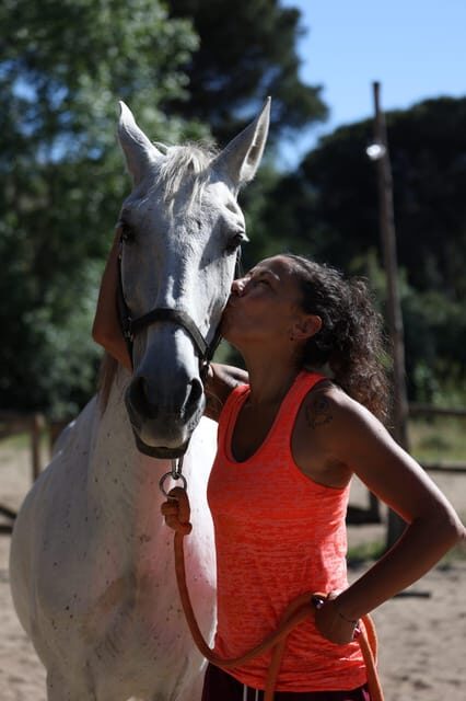 Horse Sanctuary in Rome - Why This Tour Represents Excellent Value