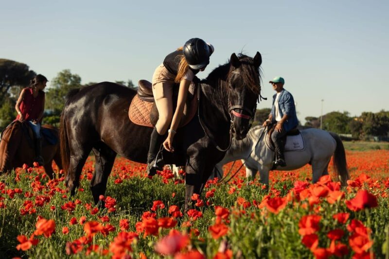 Horse Sanctuary in Rome - The Experience Provider and Similar Alternatives