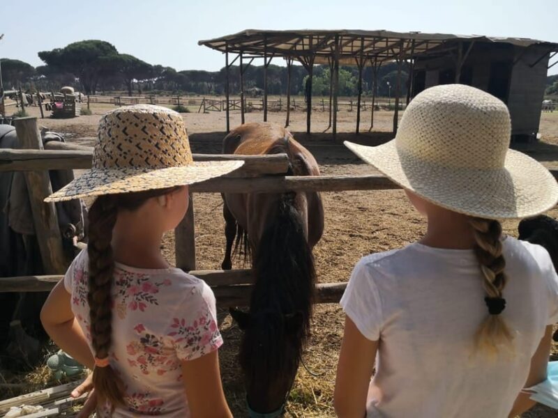 Horse Sanctuary in Rome - Final Thoughts: Who Should Book This?