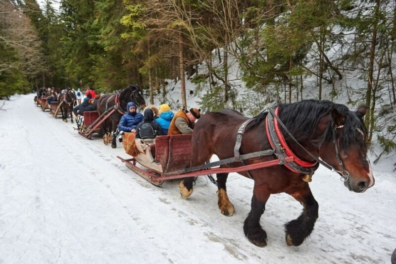 Horse Sleigh 2-3h Ride with Hot Springs or Zakopane Combos - The Value of This Tour