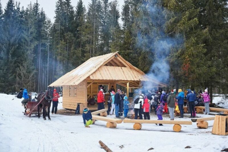 Horse Sleigh 2-3h Ride with Hot Springs or Zakopane Combos - Authentic Travel Advice: Who Is This Tour For?