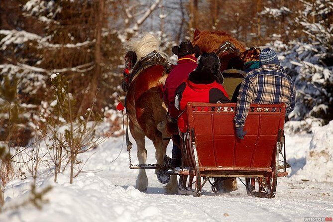 Horse Sleigh Ride in the Polish Countryside, private tour from Krakow - An In-Depth Look at the Horse Sleigh Ride Experience