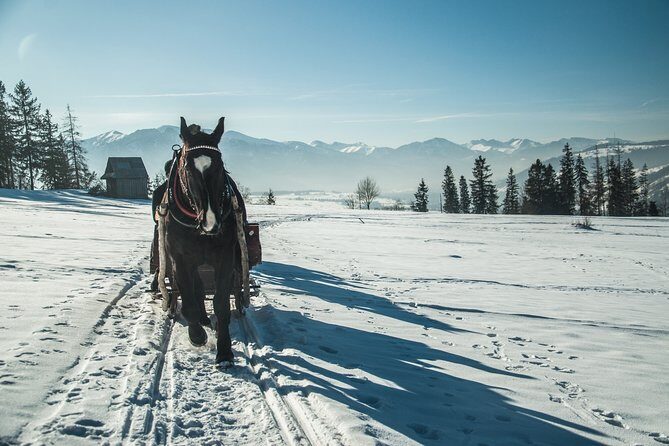 Horse Sleigh Ride in the Polish Countryside, private tour from Krakow - FAQ