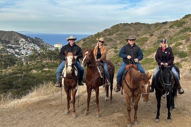 Horse Trail and Canyon Group Ride on Catalina Island - Analyzing the Value