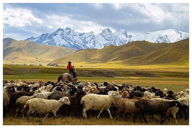 Horse trek in Kyrgyzstan: Naryn to Kel-Suu lake - An In-Depth Look at the Kyrgyz Horse Trek