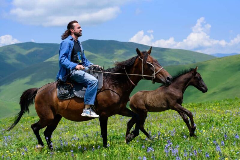 Horseback Adventure in Armenias Highland Pastures - The Experience: A Deep Dive into the Highland Ride