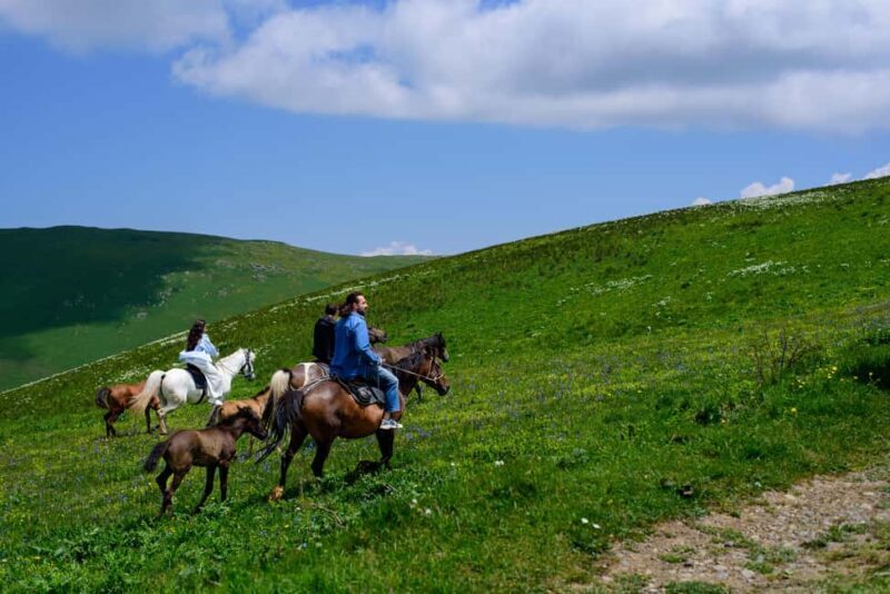Horseback Adventure in Armenias Highland Pastures - What Reviewers Are Saying