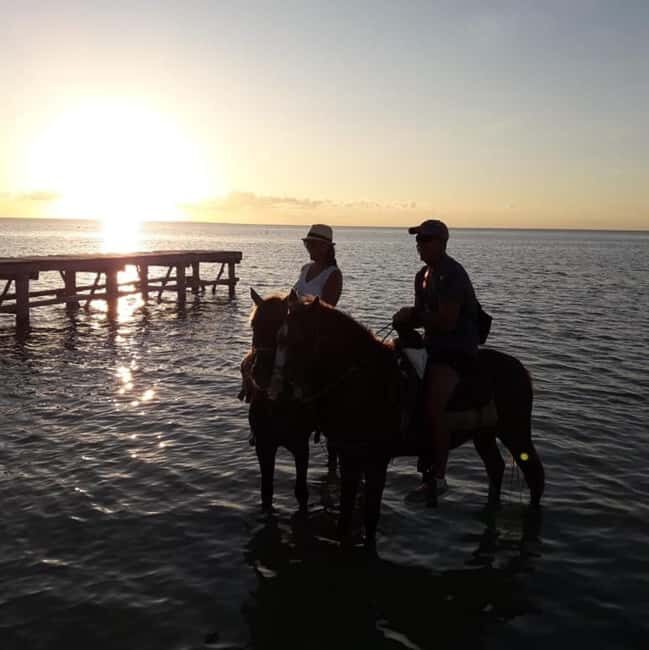 Horseback Adventure in Holbox - Horseback Adventure in Holbox: A Nature-Filled Ride through Mangroves and Beaches