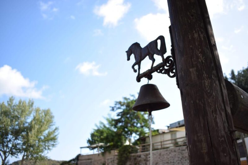 Horseback excursion in the Maddalena woods - Introduction
