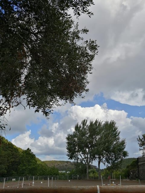 Horseback excursion in the Maddalena woods - Meeting Points and Logistics
