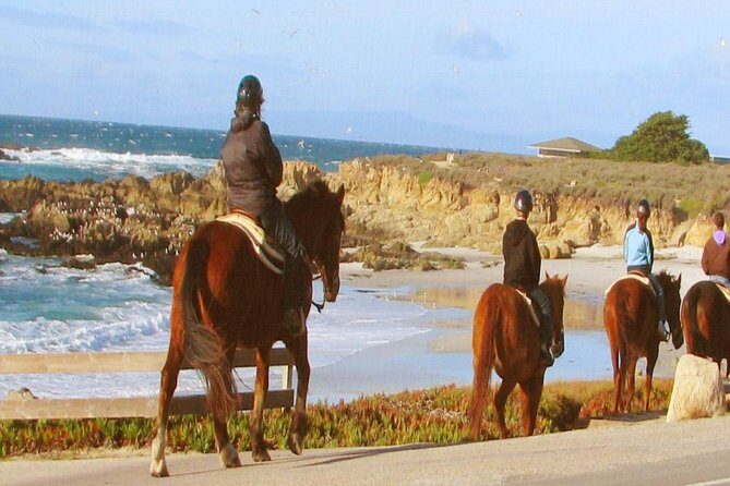 Horseback Ride & Alcatraz Prison Tickets - Key Points