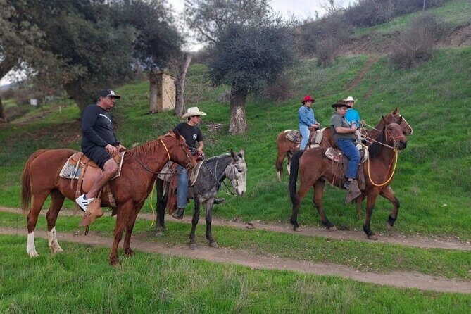 Horseback Ride and Carne Asada Ranch Experience in Ensenada - What’s Included and How the Itinerary Unfolds