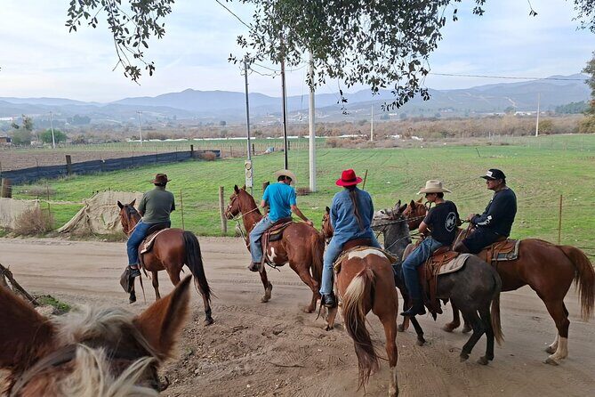 Horseback Ride and Carne Asada Ranch Experience in Ensenada - Practical Details and Value