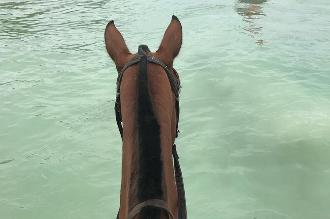 Horseback Ride and Swim From Ocho Rios - Who Will Love This Tour?