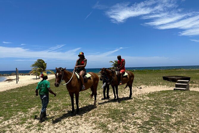 Horseback Ride and Swim Guided Tour from Montego Bay - Concluding Thoughts