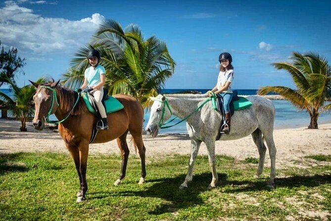 Horseback Ride and Swim Jamaica - An In-Depth Look at the Horseback Ride and Swim Experience