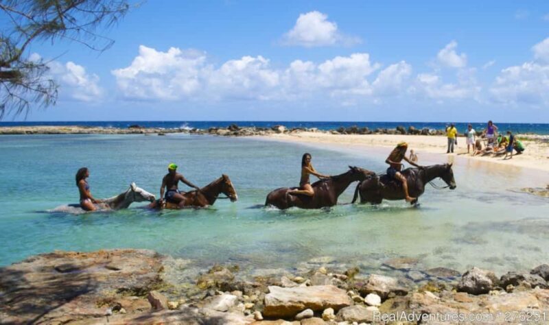Horseback Ride and Swim Ocho Rios: Jam West Hanover - Key Points