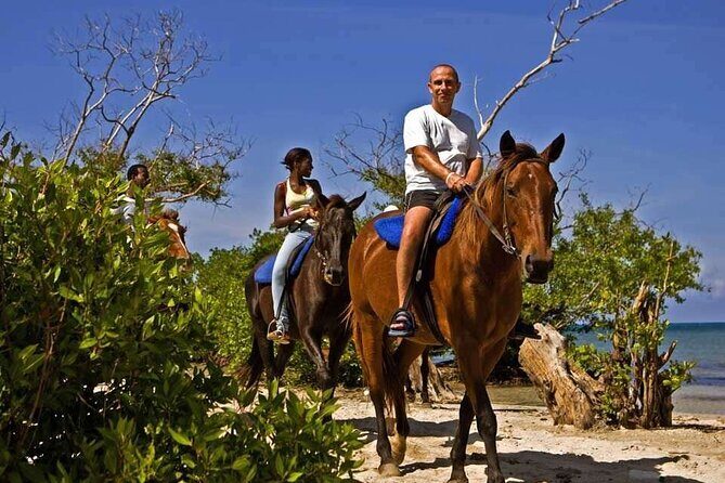 Horseback Ride and Swim Private Tour from Montego Bay - Who Should Consider This Tour?