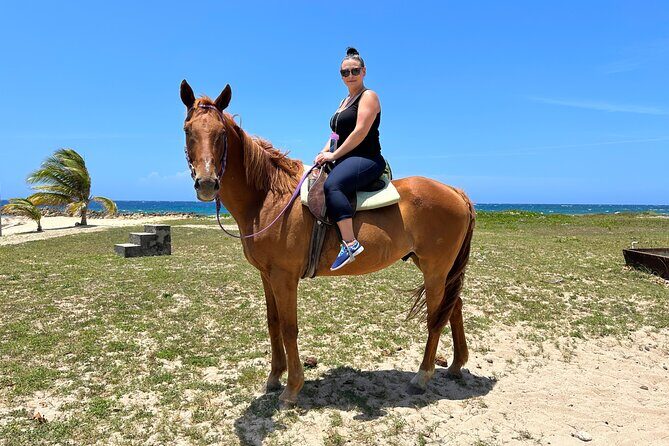 Horseback Ride and Swim Private Tour In Montego Bay - What to Expect from the Tour