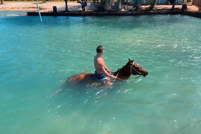 Horseback Ride and Swim Private Tour In Montego Bay - The Ride Back and Final Thoughts