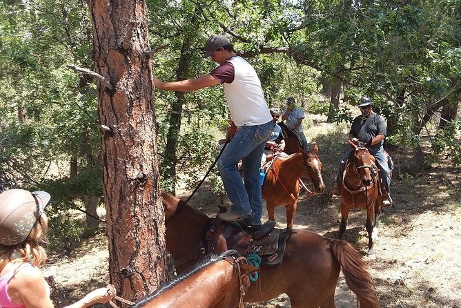 Horseback Ride for 2 or more - The Experience at a Glance