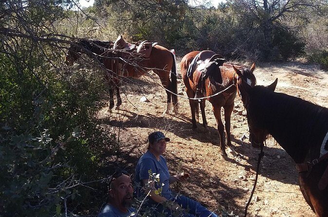 Horseback Ride for 2 or more - Who This Tour Is Perfect For