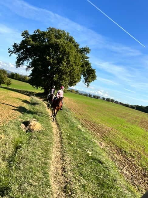 Horseback Ride in Tuscany with Lunch in da Vincis Land - Key Points
